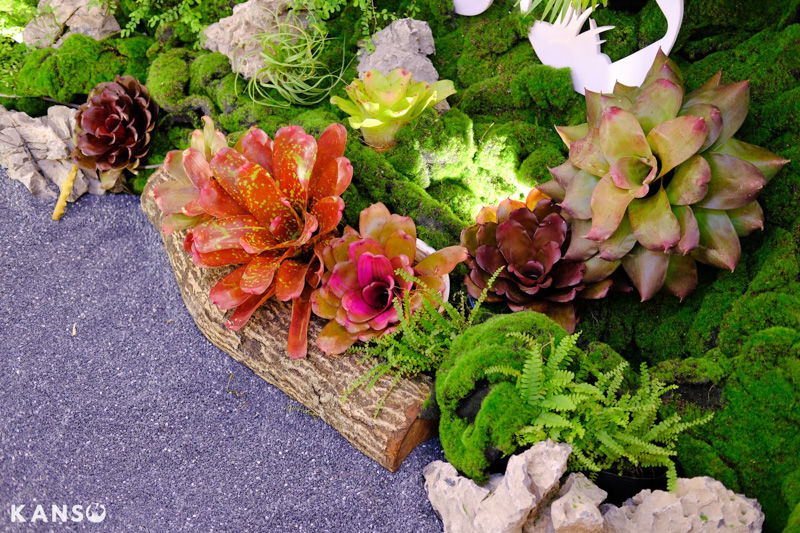 Hành Trình Mang Thiên Nhiên Đến HawaExpo 2024 - » KANSO Landscape